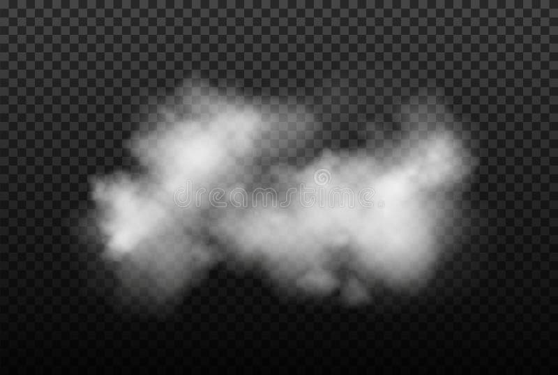 Realistic Vector Cloud of Smoke or Fog. Fog or Cloud Isolated on ...