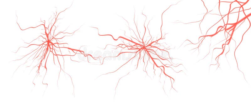 Realistic Vector Icon Set. Human Blood System, Blood Elements Veins ...