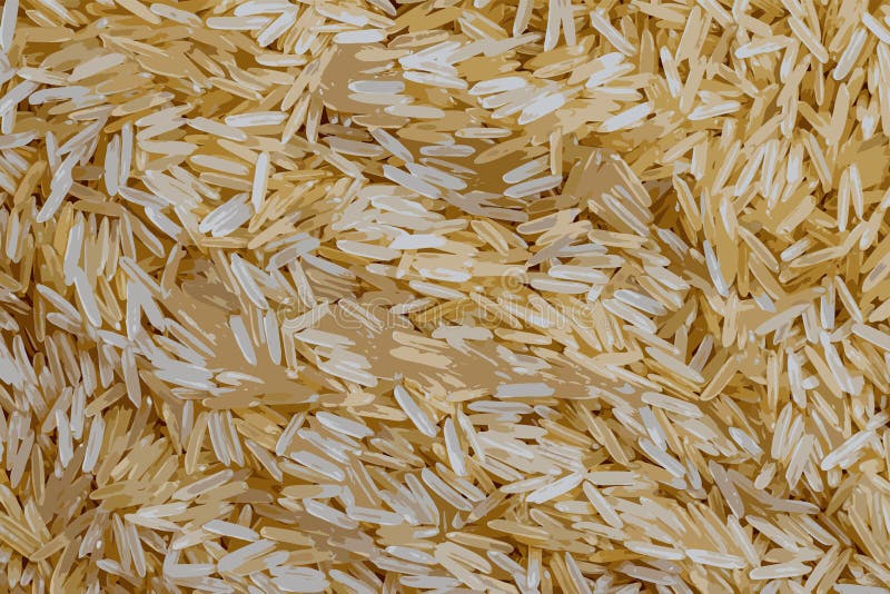 Realistic Vector Illustration of Long Grain Parboiled Uncooked Rice ...