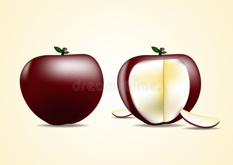 Realistic Vector Object, Apple Stock Vector - Illustration of closeup ...