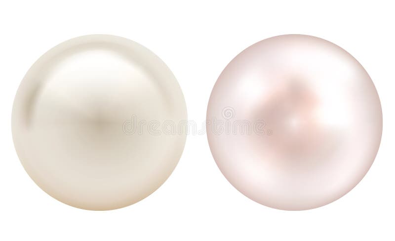Realistic Vector Two Pearls Stock Vector - Illustration of ocean, shiny ...