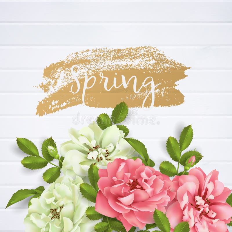 Realistic Vector Pink Rose. 3d Roses Stock Vector - Illustration of ...