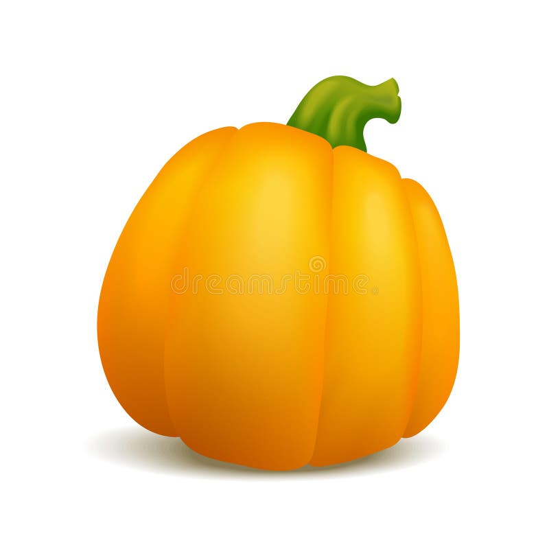 Realistic Vector Pumpkin Isolated on White Background Stock Vector ...