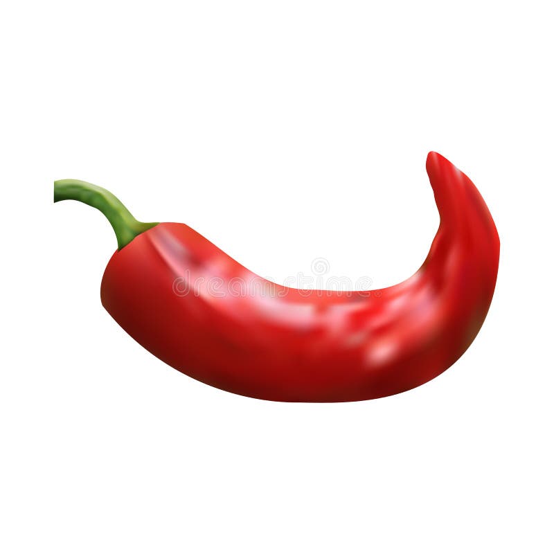 Realistic Vector Red Chilli Pepper Isolated on White Background. Stock ...