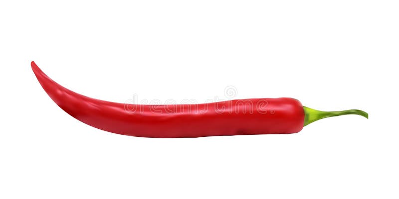 Realistic Vector Red Chilli Pepper Isolated on White Background. Stock ...