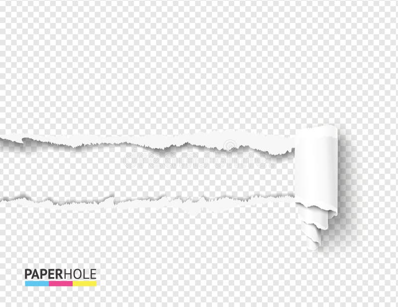 Teared Paper Vector Stock Illustrations – 3,117 Teared Paper Vector ...