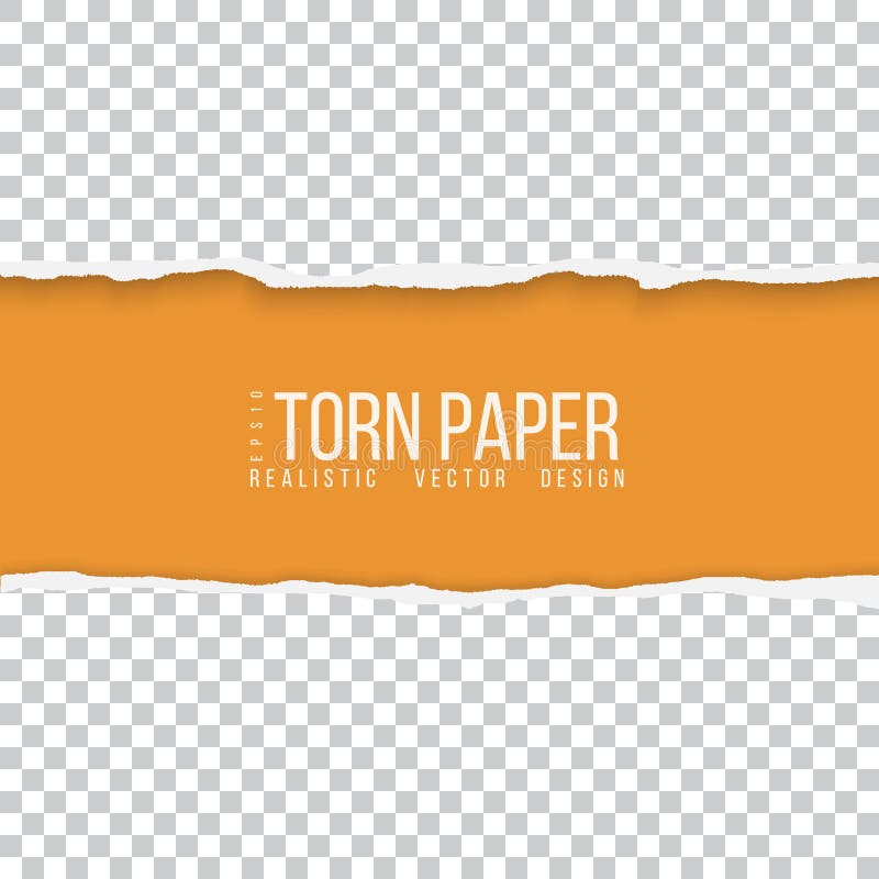 Realistic Vector Torn Paper Border with Space for Your Text Stock ...