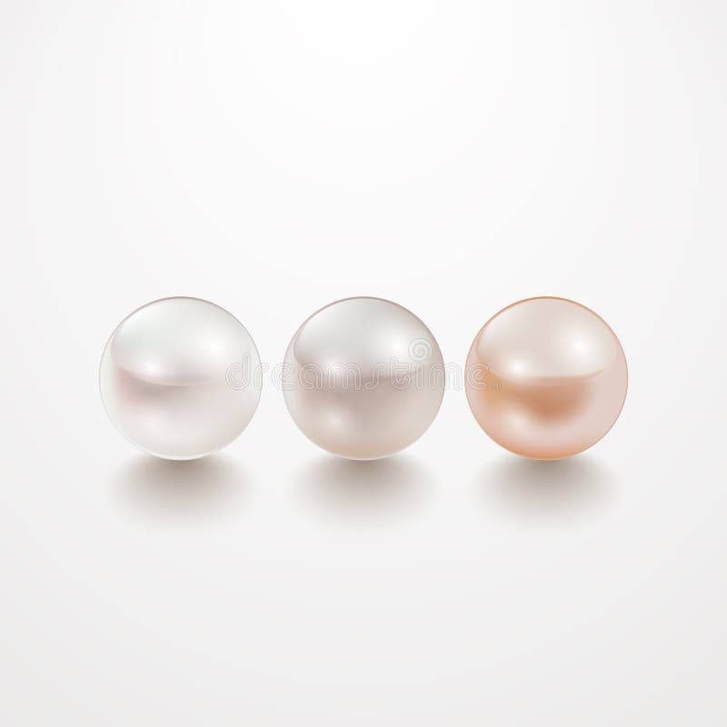Realistic Vector White Pearls Set Stock Vector - Illustration of object ...