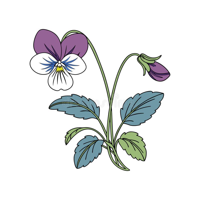 Realistic Violet Flower with Bright Display Stock Illustration ...