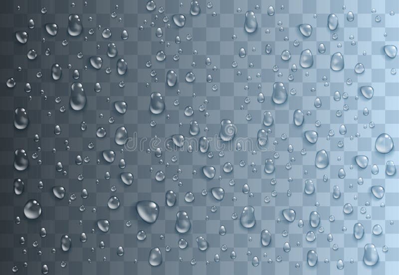 Realistic Water Drops. Horizontal Mock Up on Transparent Background ...
