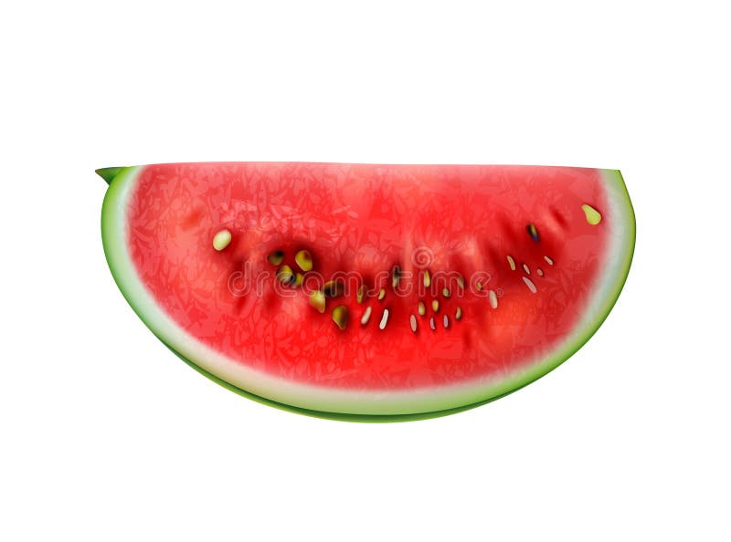 Realistic Watermelon Slices Isolated on Black Stock Vector ...