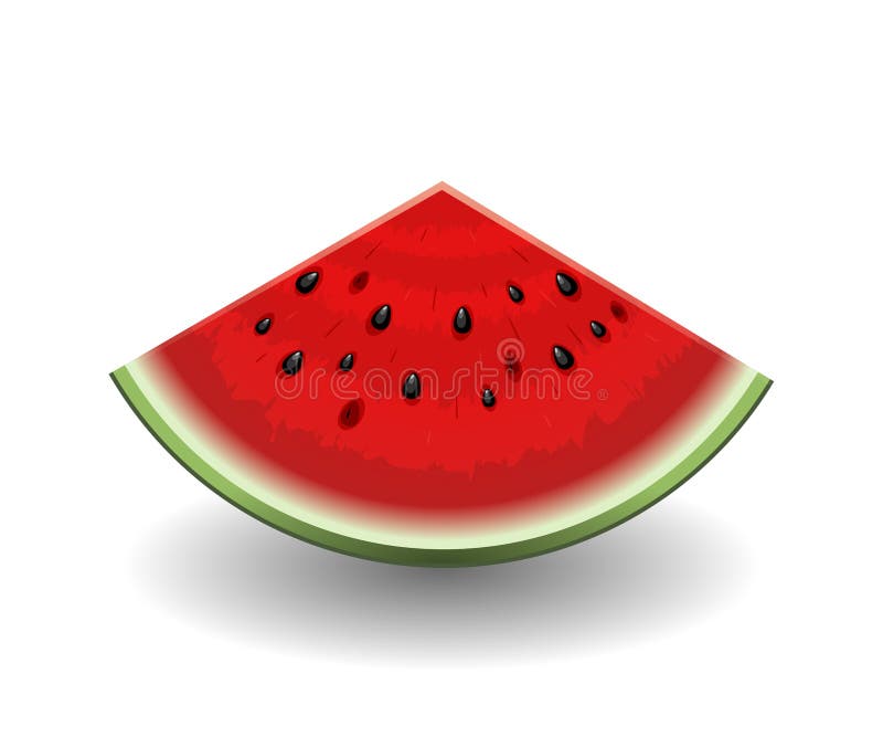 Realistic Watermelon Slice Isolated on White Stock Vector ...