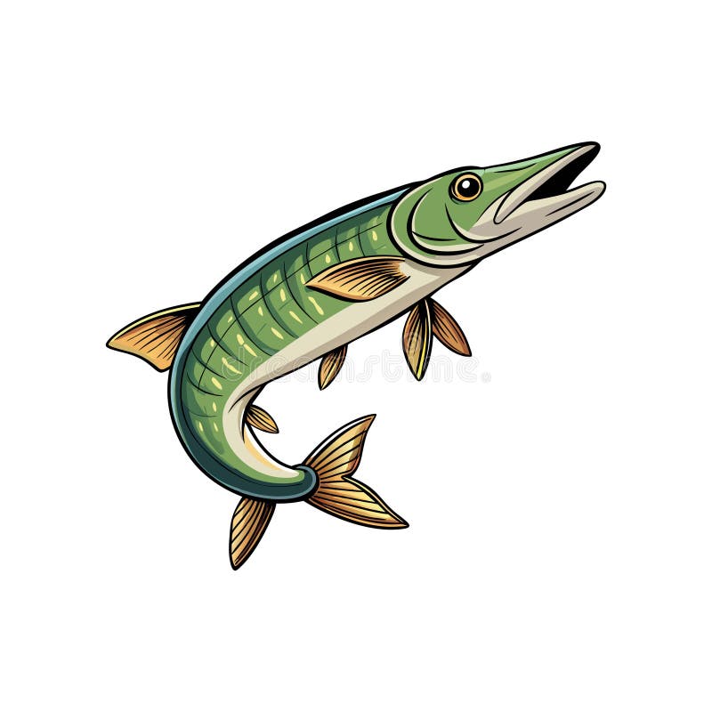 Realistic Wavedancer Stock Illustrations – 12 Realistic Wavedancer ...