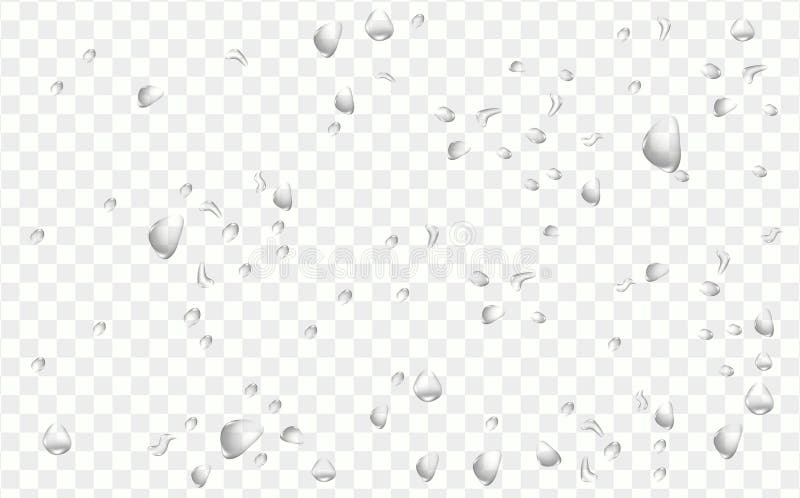 Rain Transparent Drops Flow Down the Glass.Realistic Wet Condensation ...