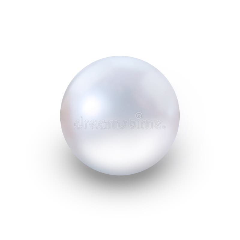 Realistic White Pearl with Shadow Isolated on White Background Stock ...