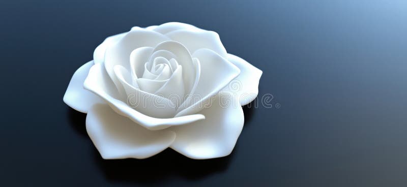 Realistic White Rose Flower on Dark Background with Soft Lighting and ...
