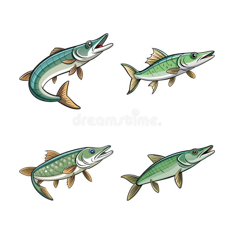 Realistic Whitecurrent Pike Fish Illustration with Bright Colors Stock ...