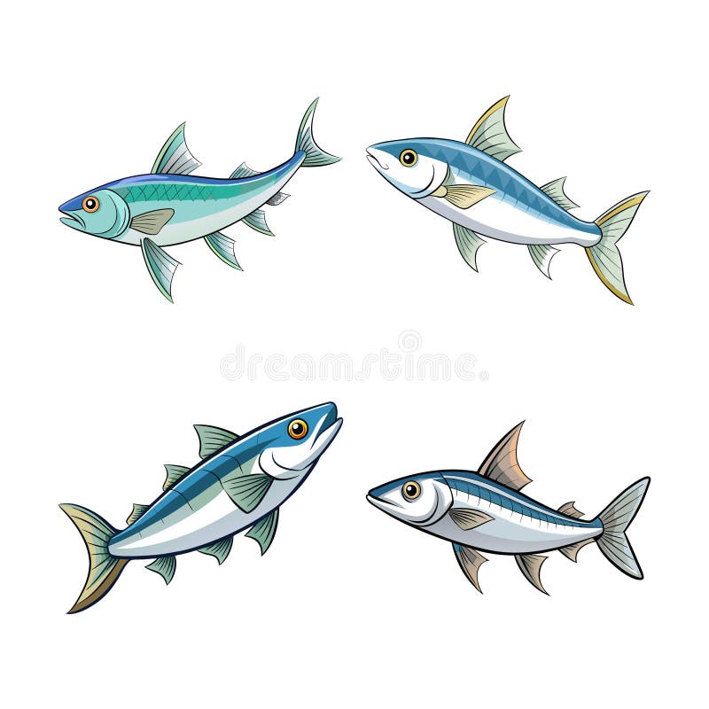 Realistic Whitehooked Mullet Fish Illustration Stock Vector ...