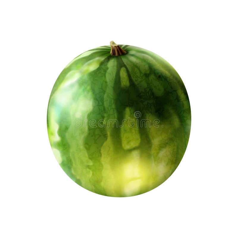 Watermelon Composition with Falling Watermelon into Juice. Watercolor ...