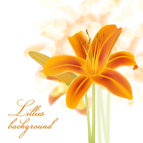 Realistic Lillies Background Stock Vector - Illustration of curve ...