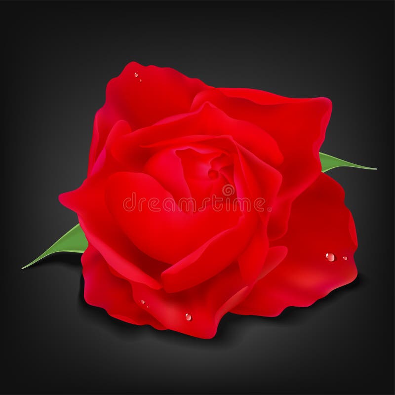 Red Rose symbol concept stock vector. Illustration of isolated - 60004120