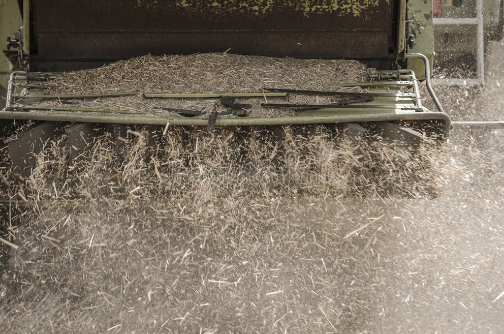 The Reaper Thresh the Wheat Stock Image - Image of produce, growth ...