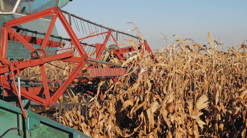 Reaping Machine in Action in Slow Motion Stock Video - Video of ...