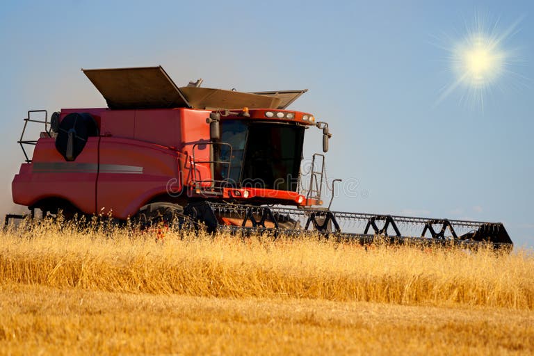 12,368 Reaping Stock Photos - Free & Royalty-Free Stock Photos from ...