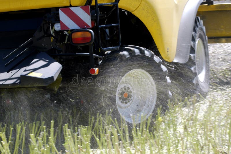 Reaping-machine Threshing-machine with Work Stock Photo - Image of ...
