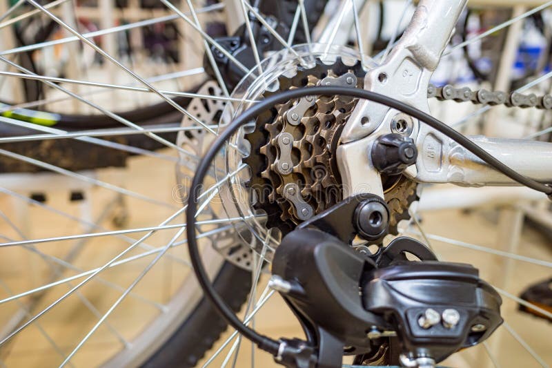 Rear Bushing of a Bicycle with Speeds Stock Photo - Image of transport ...