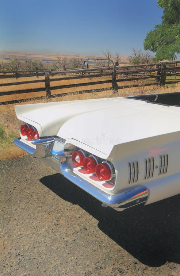 Rear-end Ford Thunderbird Convertible 1960 Immagine Stock - Immagine di ...