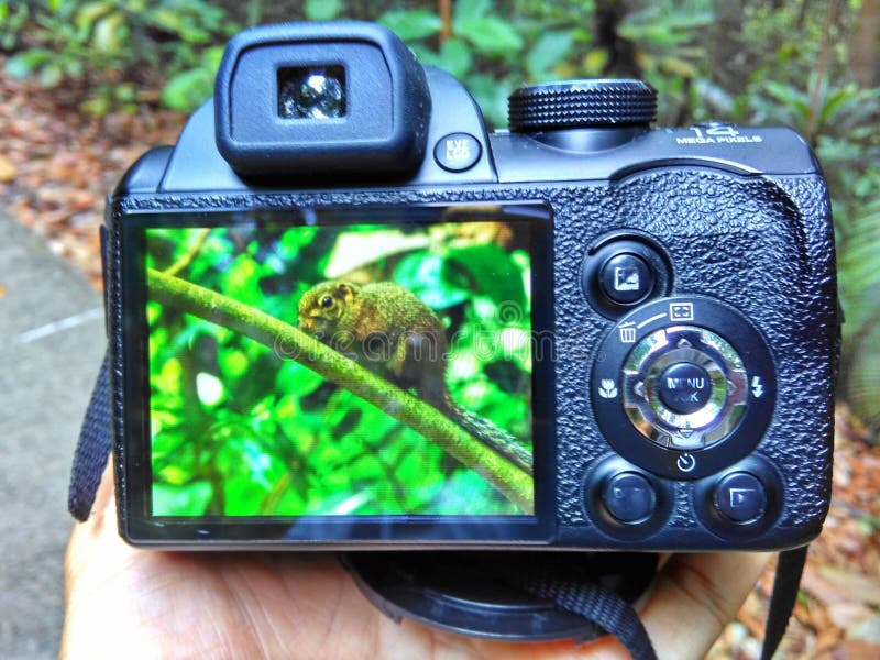 Rear LCD Screen - Digital Camera Stock Image - Image of reserve ...