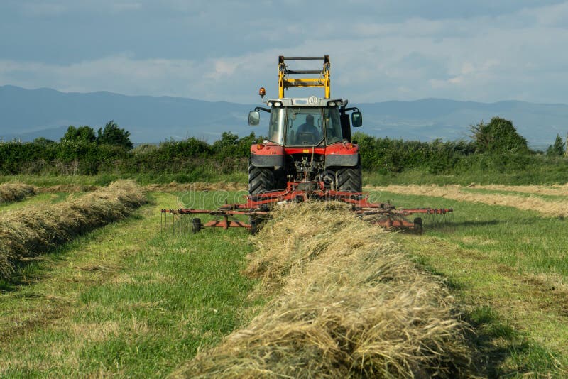 Rear of Red Tractor Raking Dry Grass Stock Photo - Image of ...