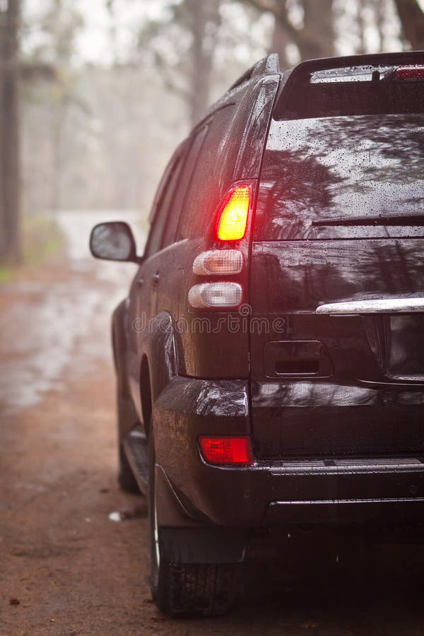 Rear Side of the Black SUV in Forest Stock Image - Image of countryside ...