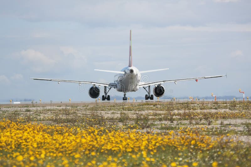 Rear View of an Airplane Landing Stock Photo - Image of passenger ...