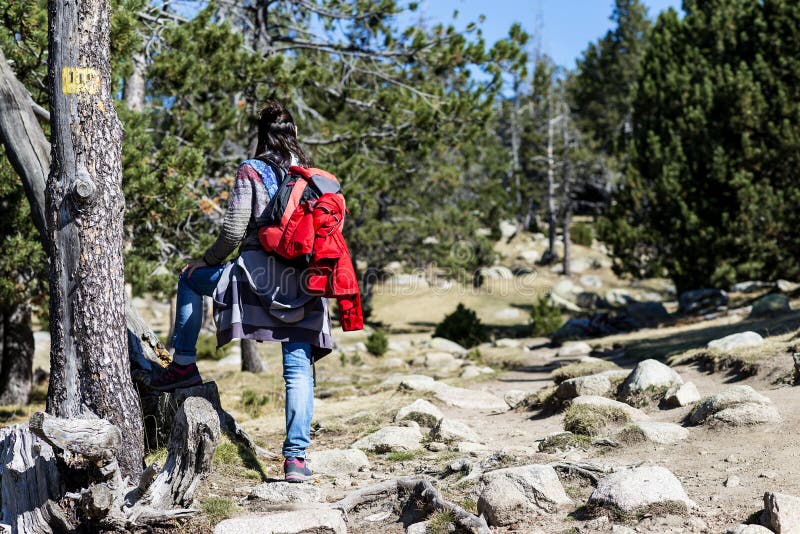 Rear View of a Backpacker Woman Standing in a Forest Trail while ...