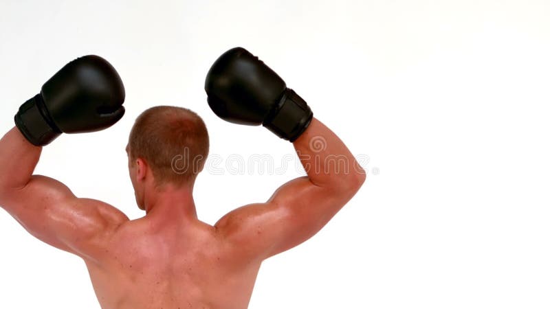 Boxer Raising His Arms and Celebrating His Recent Victory in the Ring ...