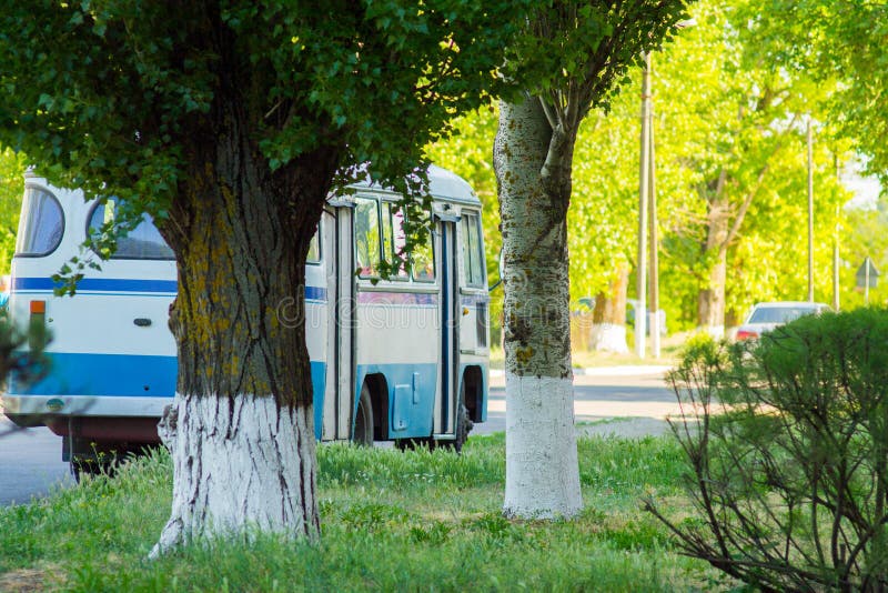 Rear View of the Bus, the Driver and Passengers are Not Visible. Bus on ...