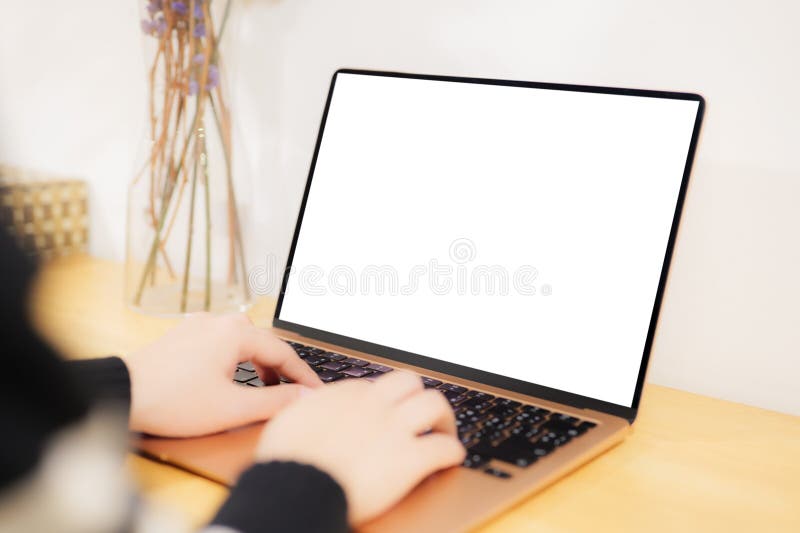 Rear View of Businesswoman. she Hands Busy Using Computer at Office or ...