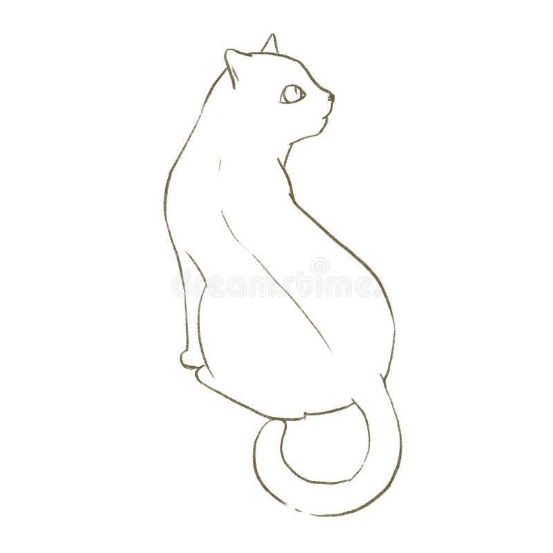 Sitting Cat Back Drawing