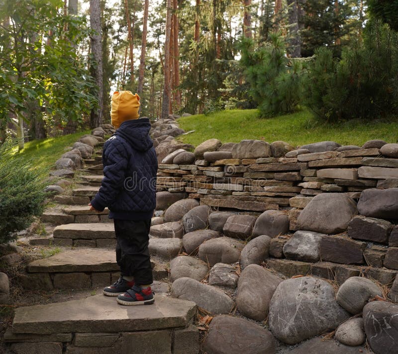 Rear View of the Child Looking Up the Stairs. the Concept of Overcoming ...