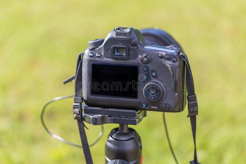 Rear View of a Digital Camera. the Display and Rear Controls are ...