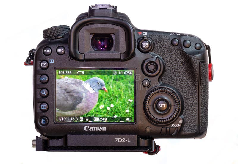 155 Dlsr Camera Stock Photos - Free & Royalty-Free Stock Photos from ...