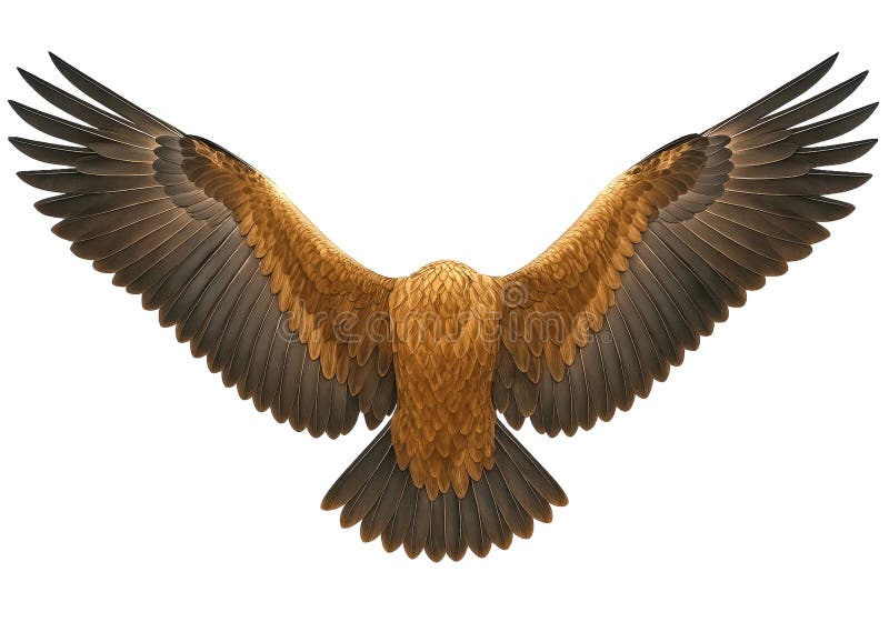 Rear View of an Eagle with Its Wings Fully Spread, Isolated on a White ...