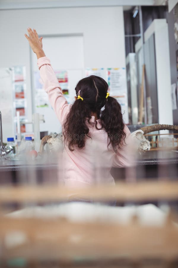 Rear View of Elementary Schoolgirl Raising Hand at Science Laboratory ...
