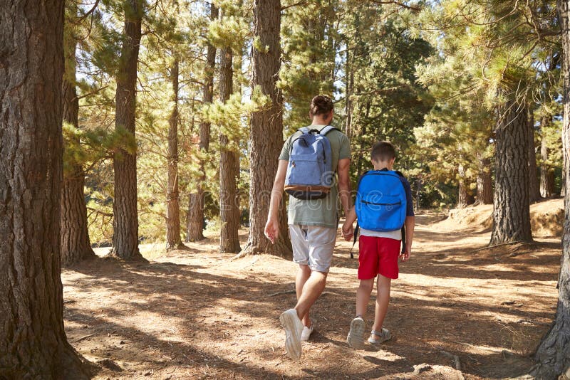 Rear View Of Father And Son On Hiking Adventure Through Forest Stock