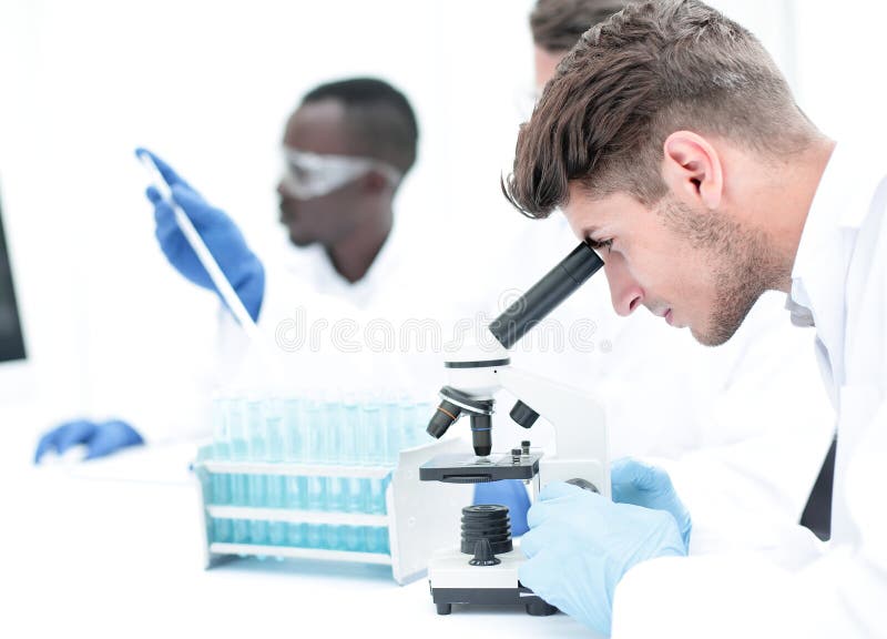 Rear View. a Group of Scientists at the Laboratory Table Stock Image ...