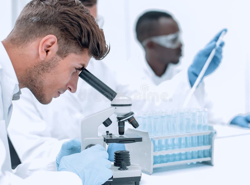 Rear View. a Group of Scientists at the Laboratory Table Stock Photo ...