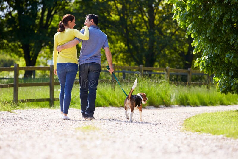 Rear View of Hispanic Couple Walking Dog Stock Photo - Image of ...