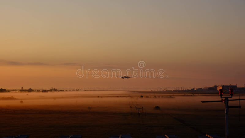 Rear View of a Landing Plane at Sunset. Horizontal Video. Stock Video ...